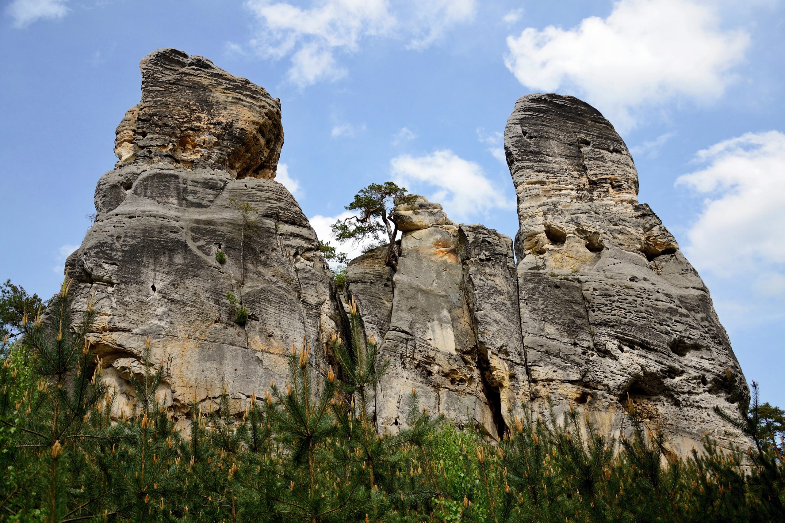 Unique Rock Formations on Mount Rigi Explained - MountRigi.info